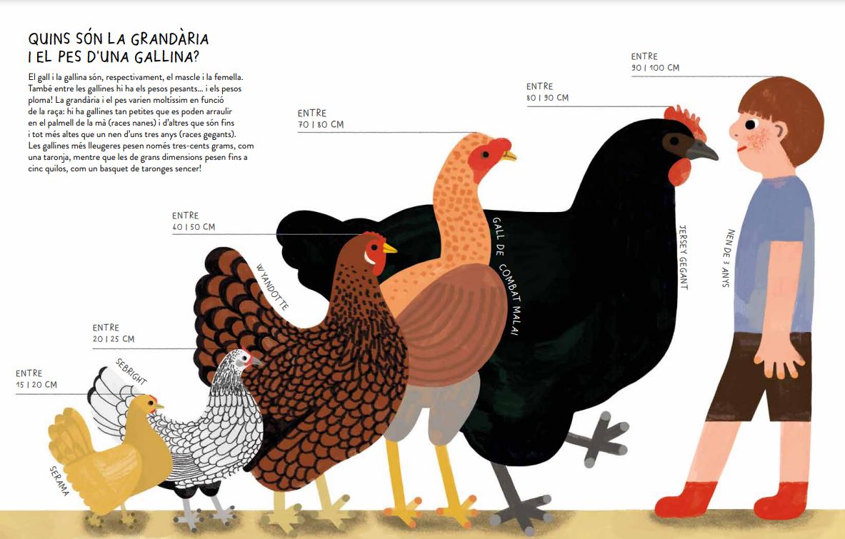 Gallinari, l’enciclopèdia definitiva – A LLEGIR!